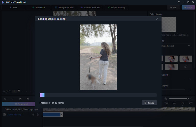 User Guide: How to Blur License Plates with AVCLabs Video Blur AI